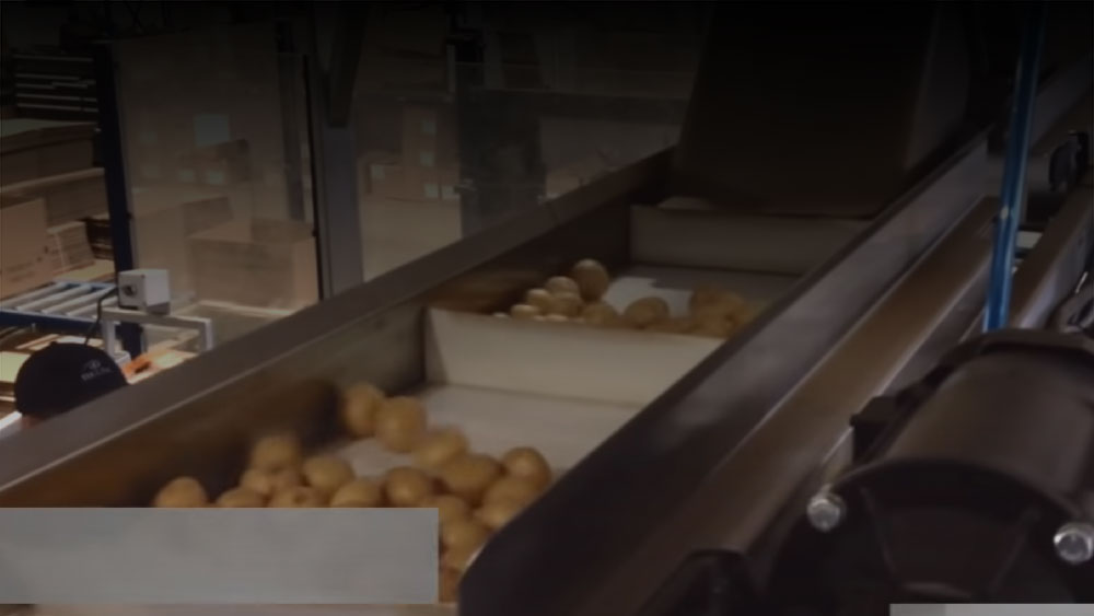 Fruit & Vegetable Packaging Machines | Produce Solutions